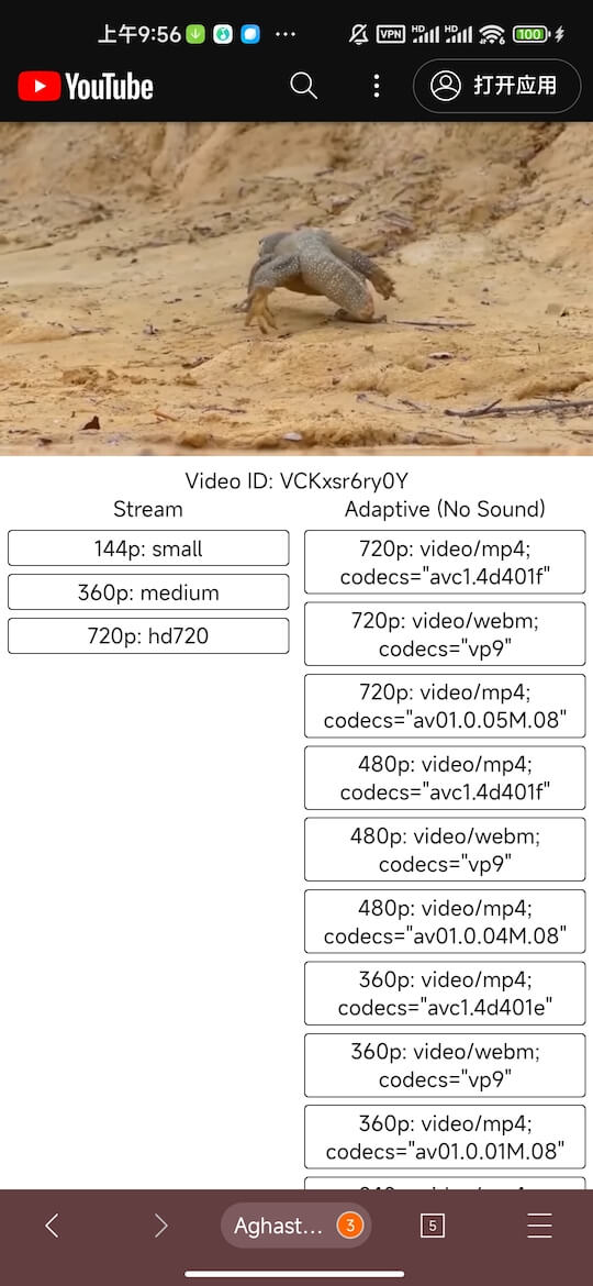 本地 YouTube 下载器 | X浏览器
